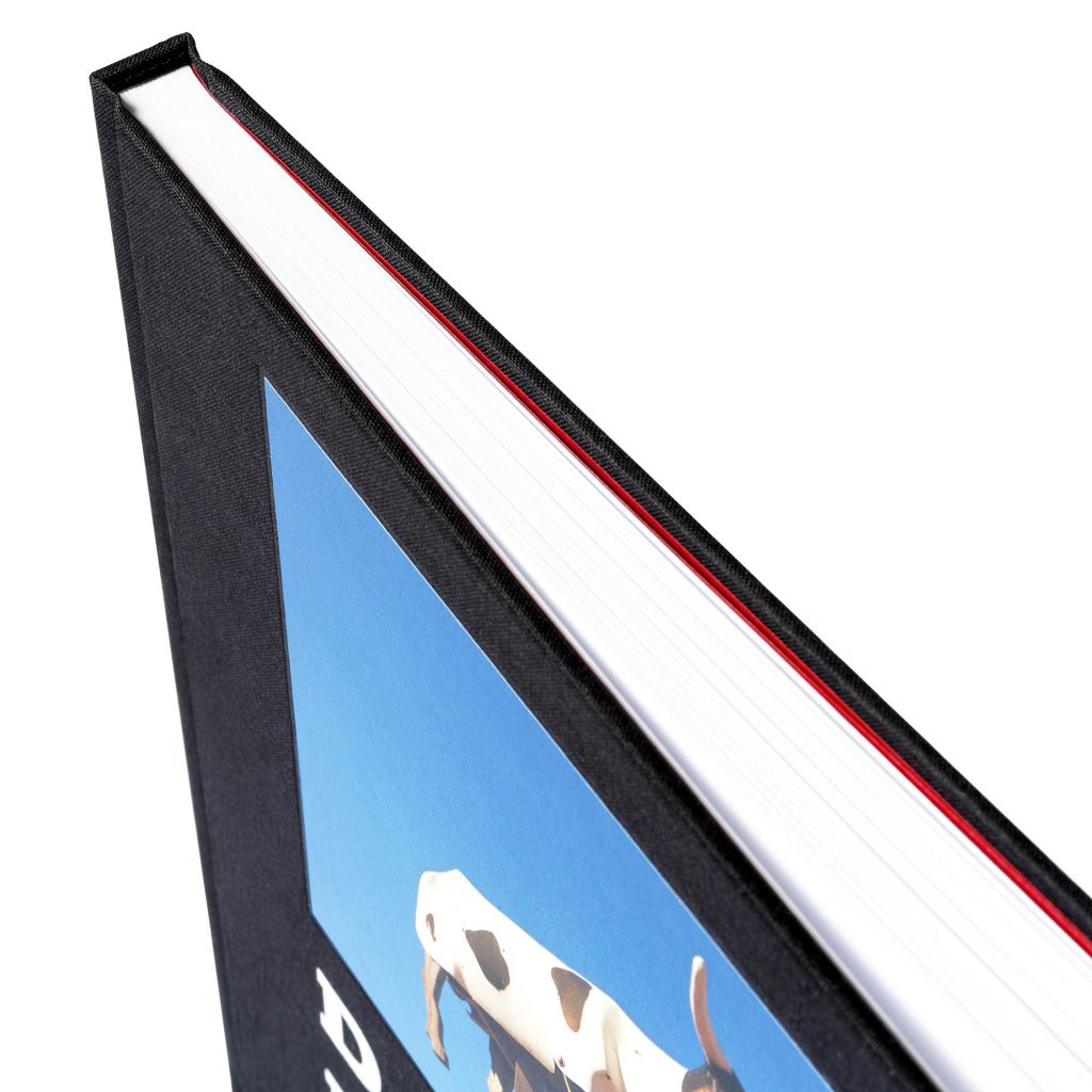 Rob Hann "Diesel Fried Chicken" - The Artist Edition Premium Artworks ...