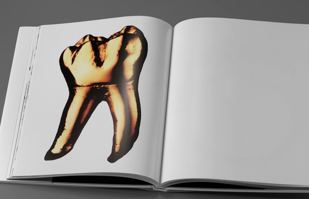 Robin Broadbent "The Photographic Work of Robin Broadbent" - The Artist ...